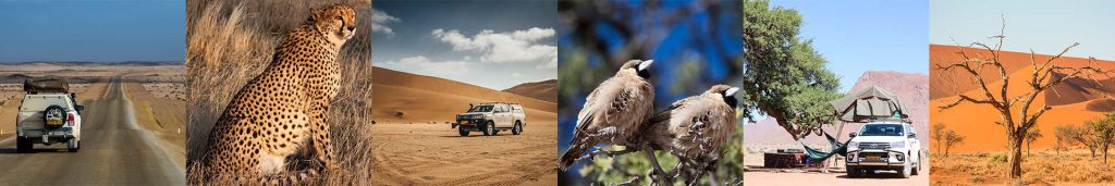 Mietwagen Allradfahrzeugen Geländewagen Namibia, Botswana